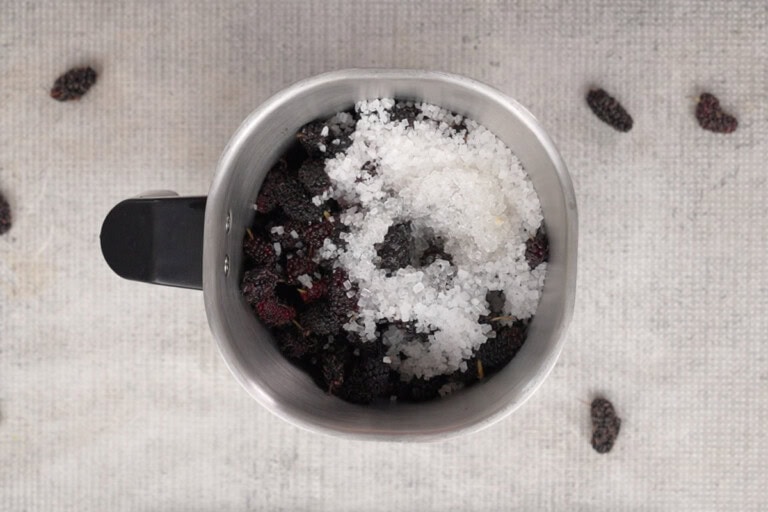 Mulberry Lemonade Recipe - Whisk Affair