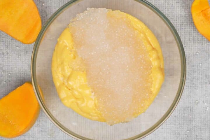 Mango Sago Recipe (Coconut Tapioca Pudding) - Whiskaffair