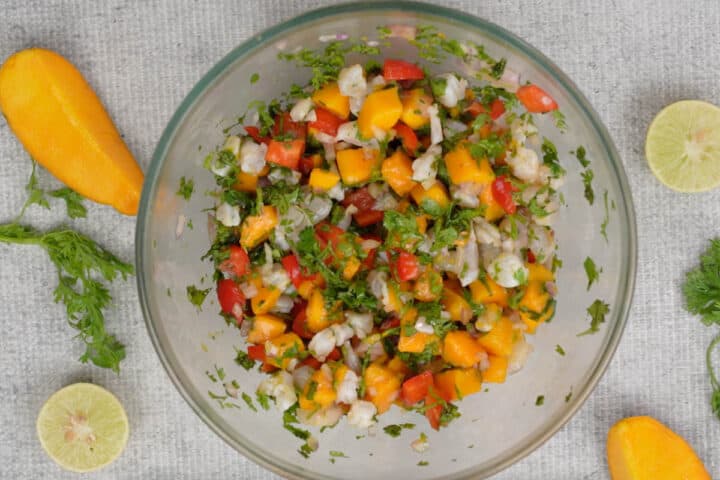 Mango Shrimp Ceviche Recipe - Whisk Affair